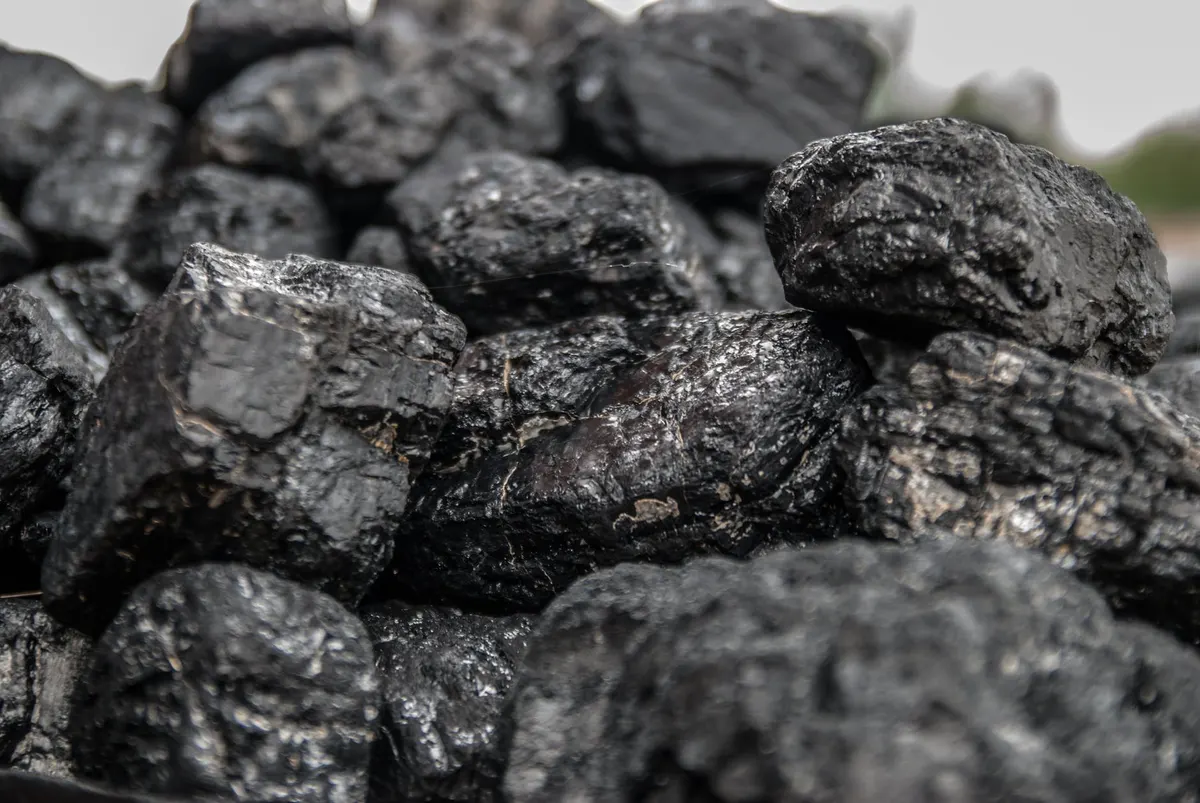 10 Best Bone Charcoal Water Filters for Fluoride (2026)